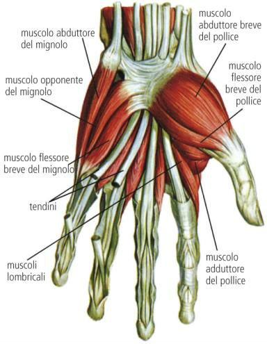 La diagnosi - DiMio.it